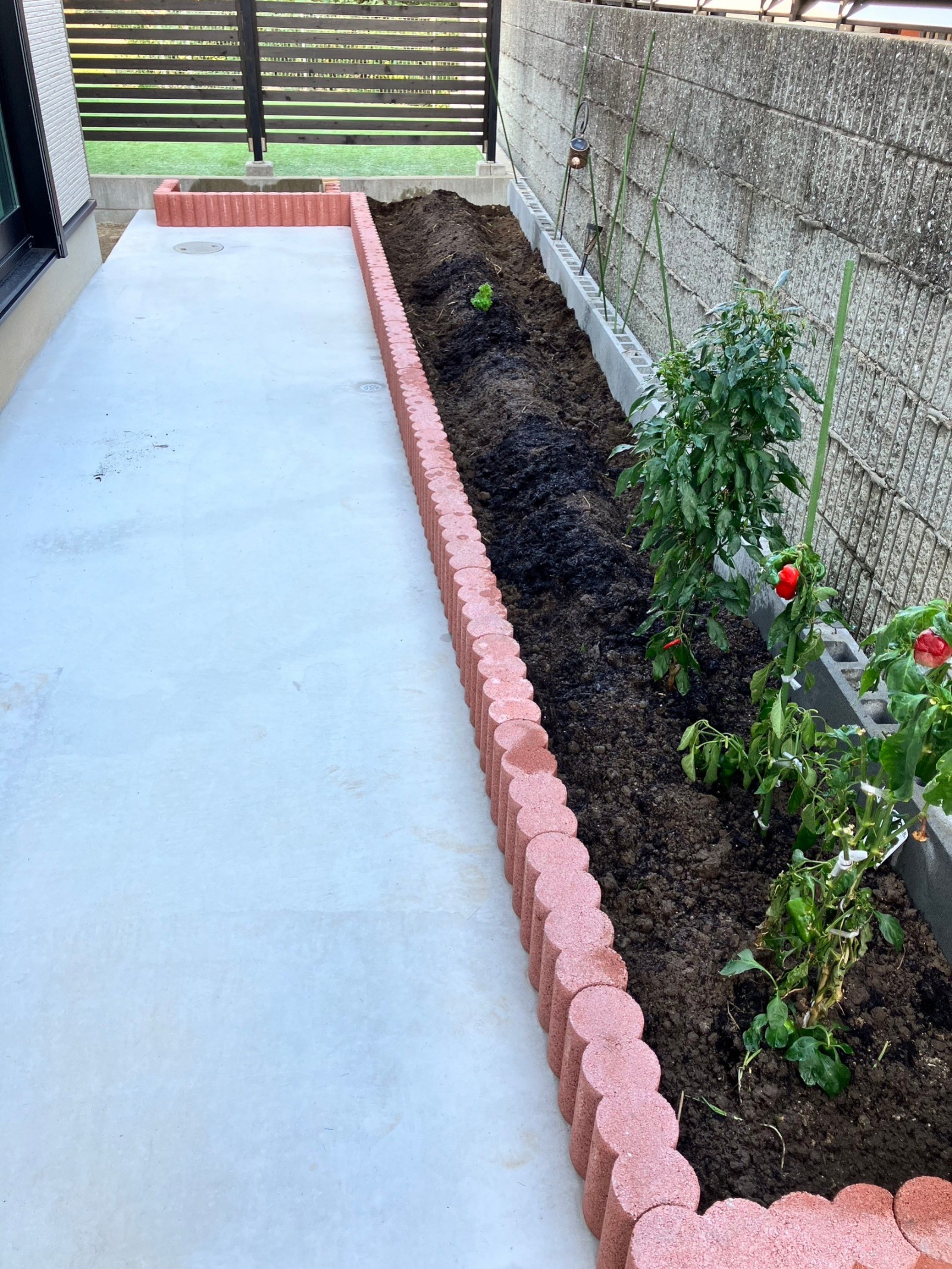 冬野菜の準備をしました